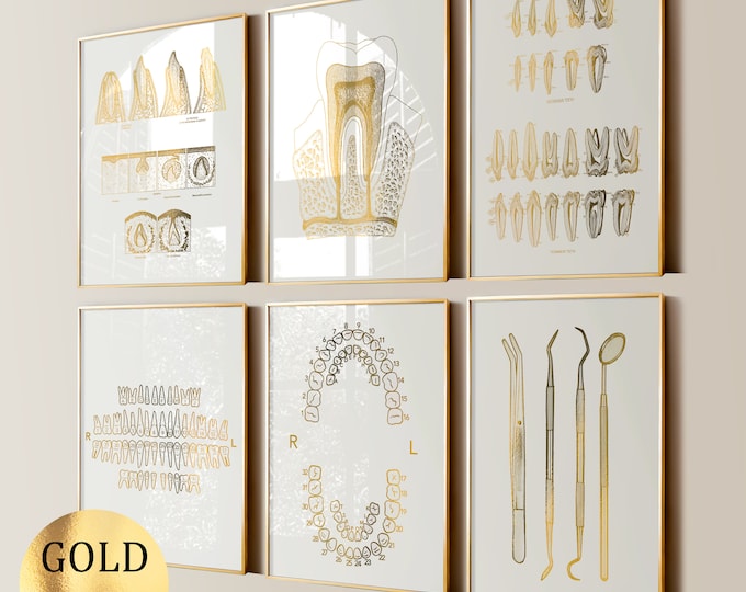 Tooth Diagram Kiss Cut Sticker, Dentist Gifts, Graduation Gift, Science ...