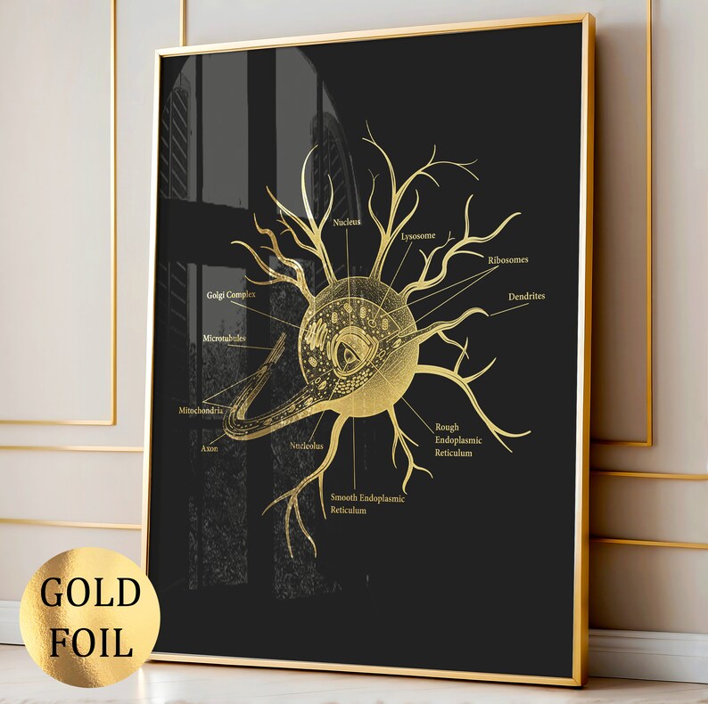 3 Gold Neuron Art Anatomy Art Nerve Cell Art Brain Anatomy Neurology ...