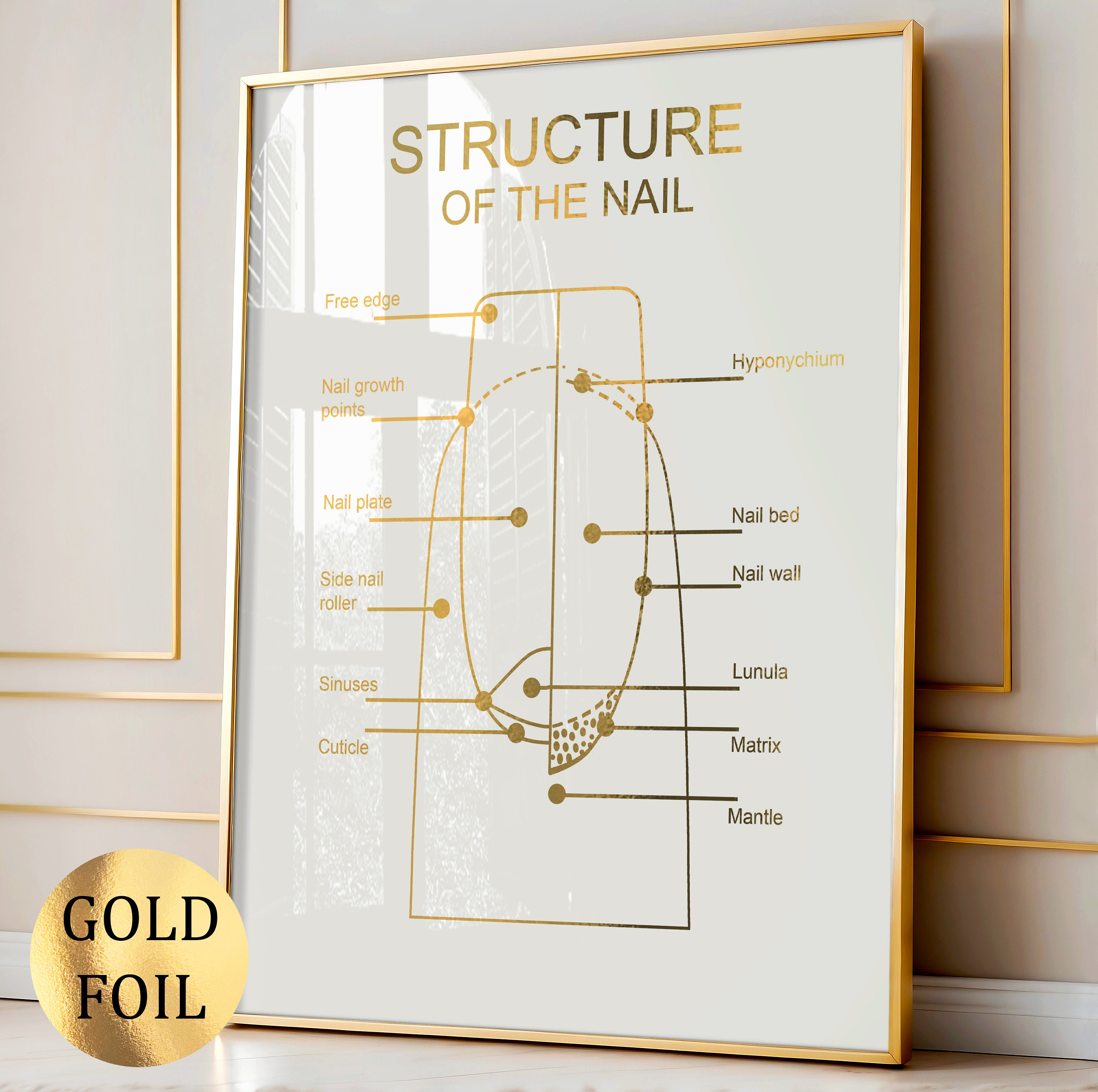 Set 6 Nail Polish Posters Beauty Salon Decor Nail Shapes Guide Nails ...