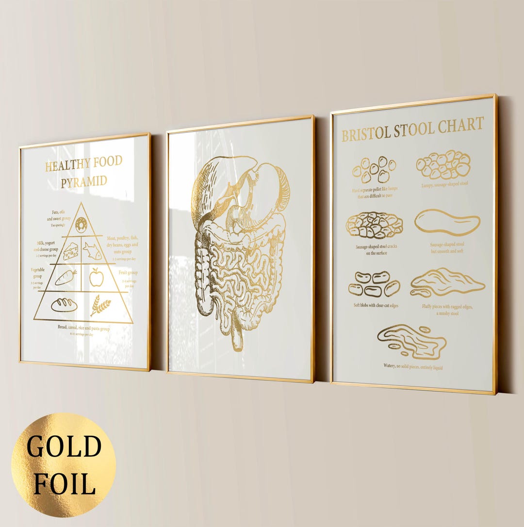 3 Gastroenterologist Gift Digestive System Anatomy Art Bristol Stool ...