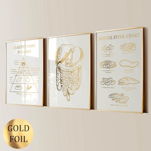 3 Gastroenterologist Gift Digestive System Anatomy Art Bristol Stool ...
