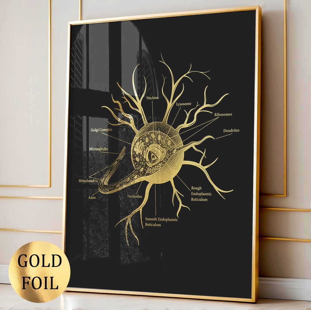 Gold Neuron Art Anatomy Art Neurology Art Medical Art Neurologist Art ...