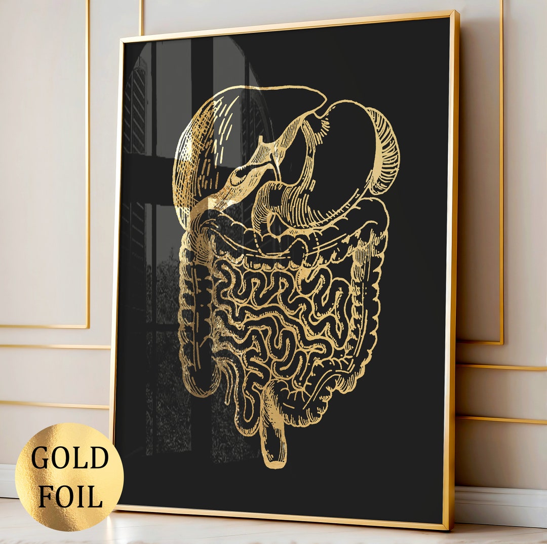 Digestive System Art Gold Anatomy Art Medical Art Gastroenterologist ...