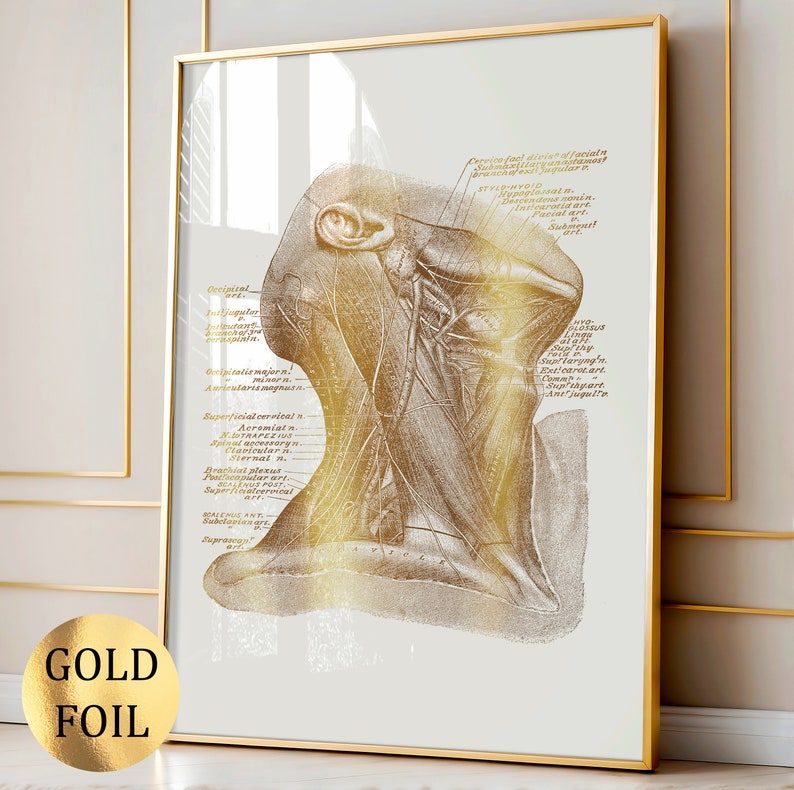 Set 6 Face Anatomy Art Neck Anatomy Posters Gold Foil Print Medical Art ...