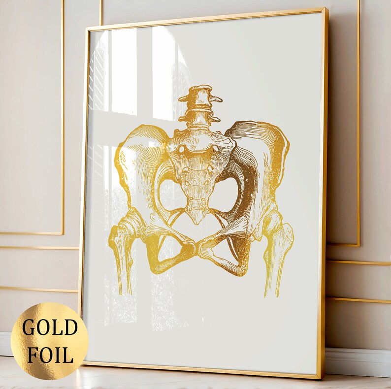 Gold Pelvis Anatomy Art Sacroiliac Joint Poster Hip Anatomy Medical Art ...