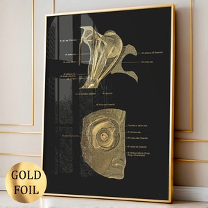 Set 6 Eye Anatomy Posters Ophthalmology Art Medical Art Gold Pupil ...