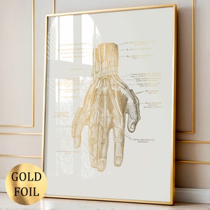 Set 6 Hand Anatomy Art Orthopedic Poster Medical Art Hand Diagram Wrist ...