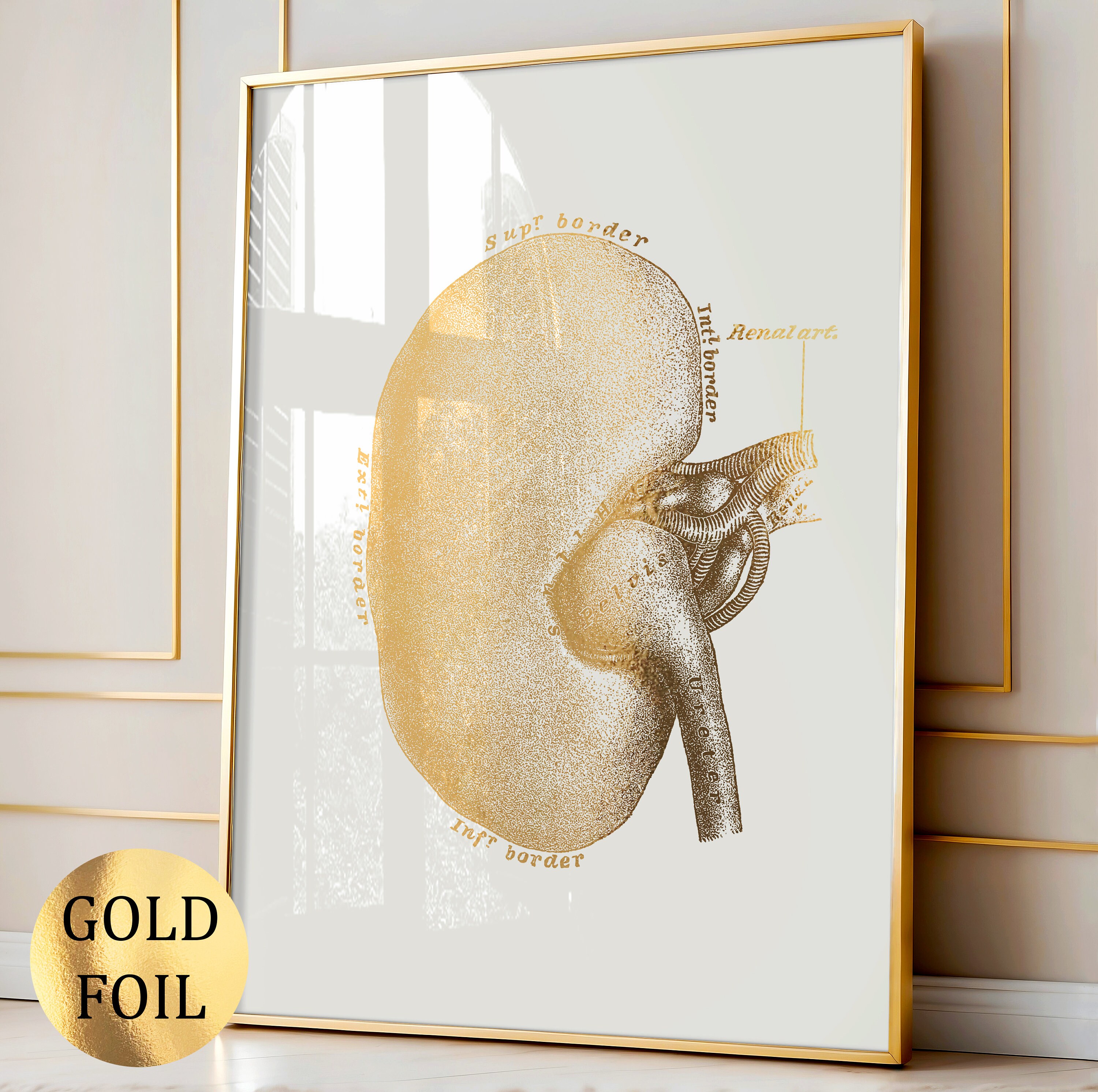 3 Kidney Anatomy Posters, Gold Foil Print, Medical Art, Nephrologist ...