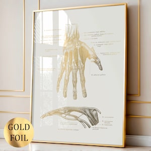 Set 6 Hand Anatomy Art Orthopedic Poster Medical Art Hand Diagram Wrist ...