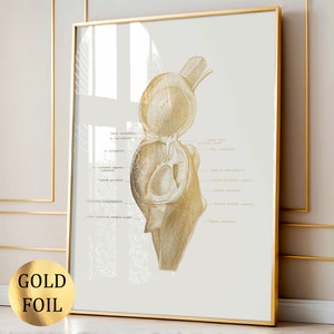 4 Gold Elbow Joint Anatomy Posters, Hand Diagram, Medical Art ...
