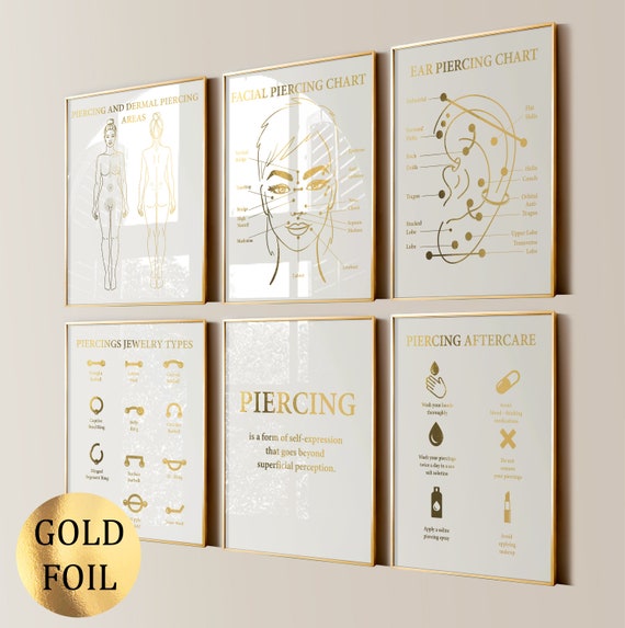 All Body Piercing Diagram