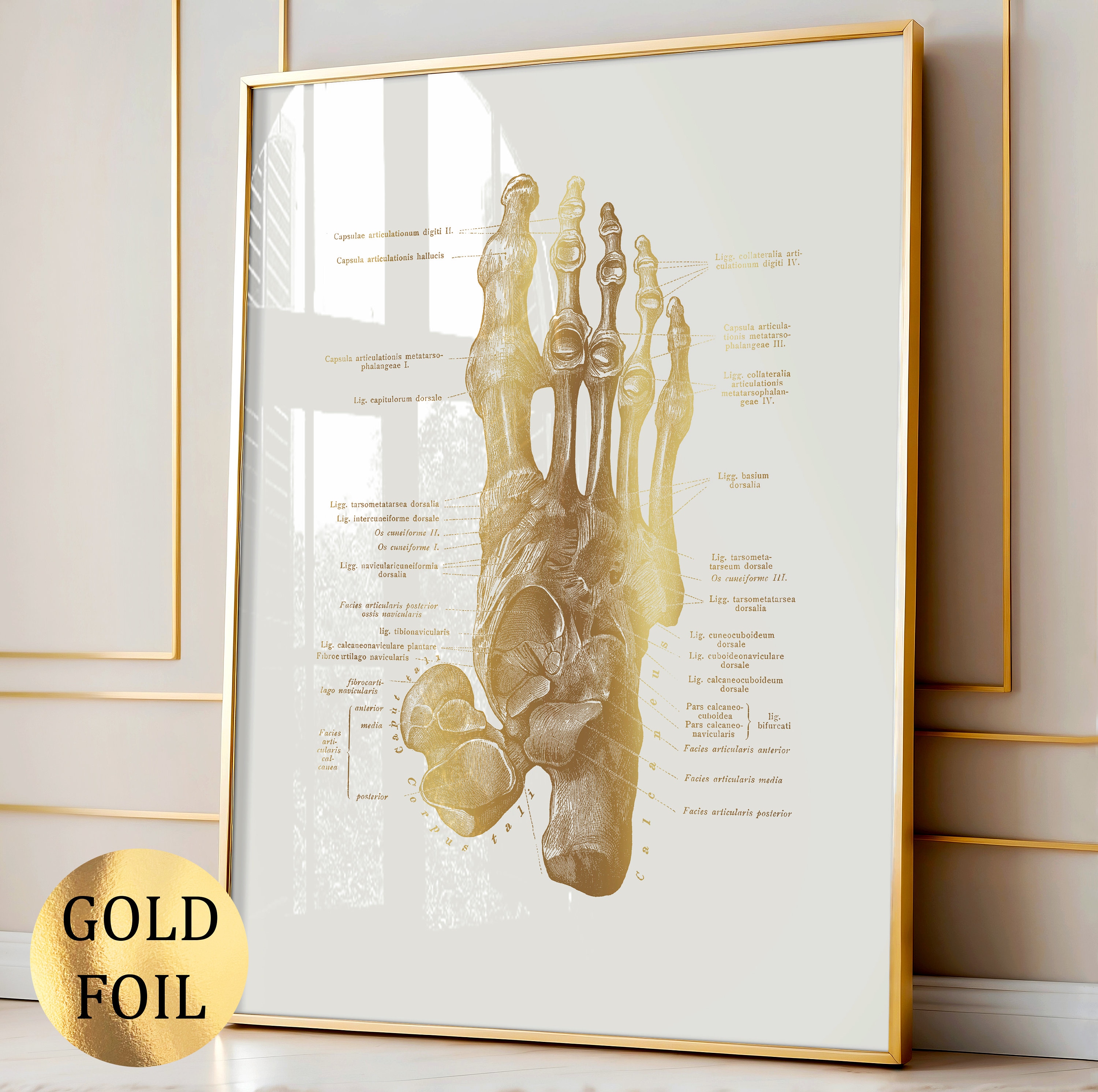 3 Foot Anatomy Posters Foot Bones Diagram Gold Foil Print Medical Art ...
