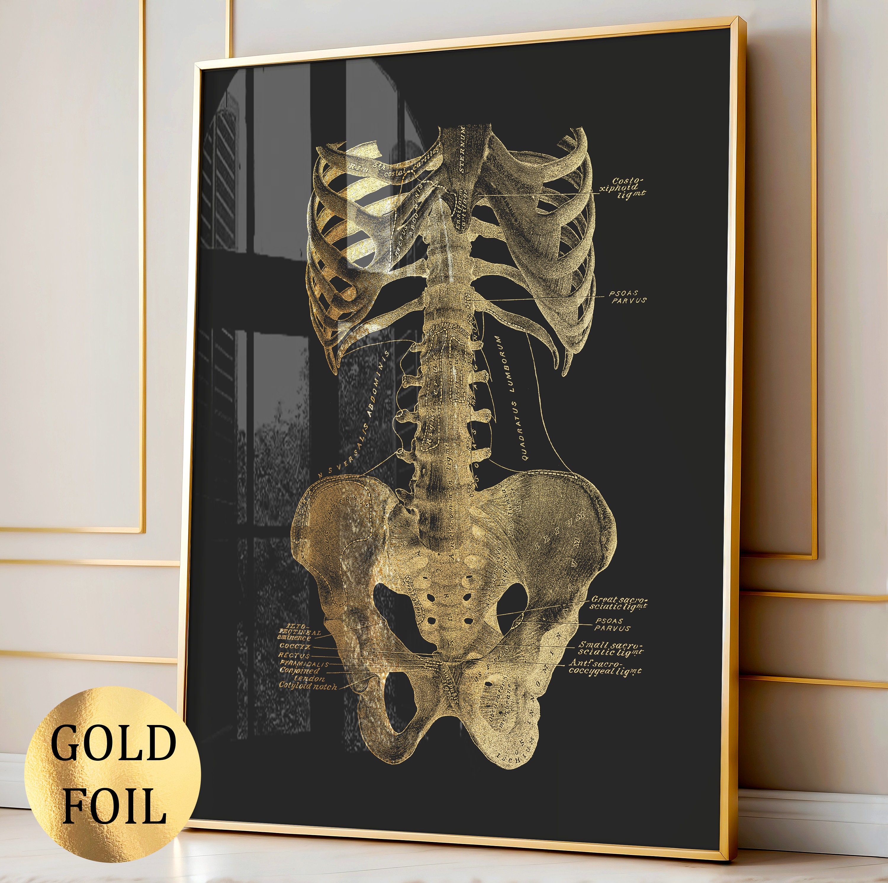 2 Skeleton Anatomy Art Medical Art Orthopedic Gift Skeletal System ...