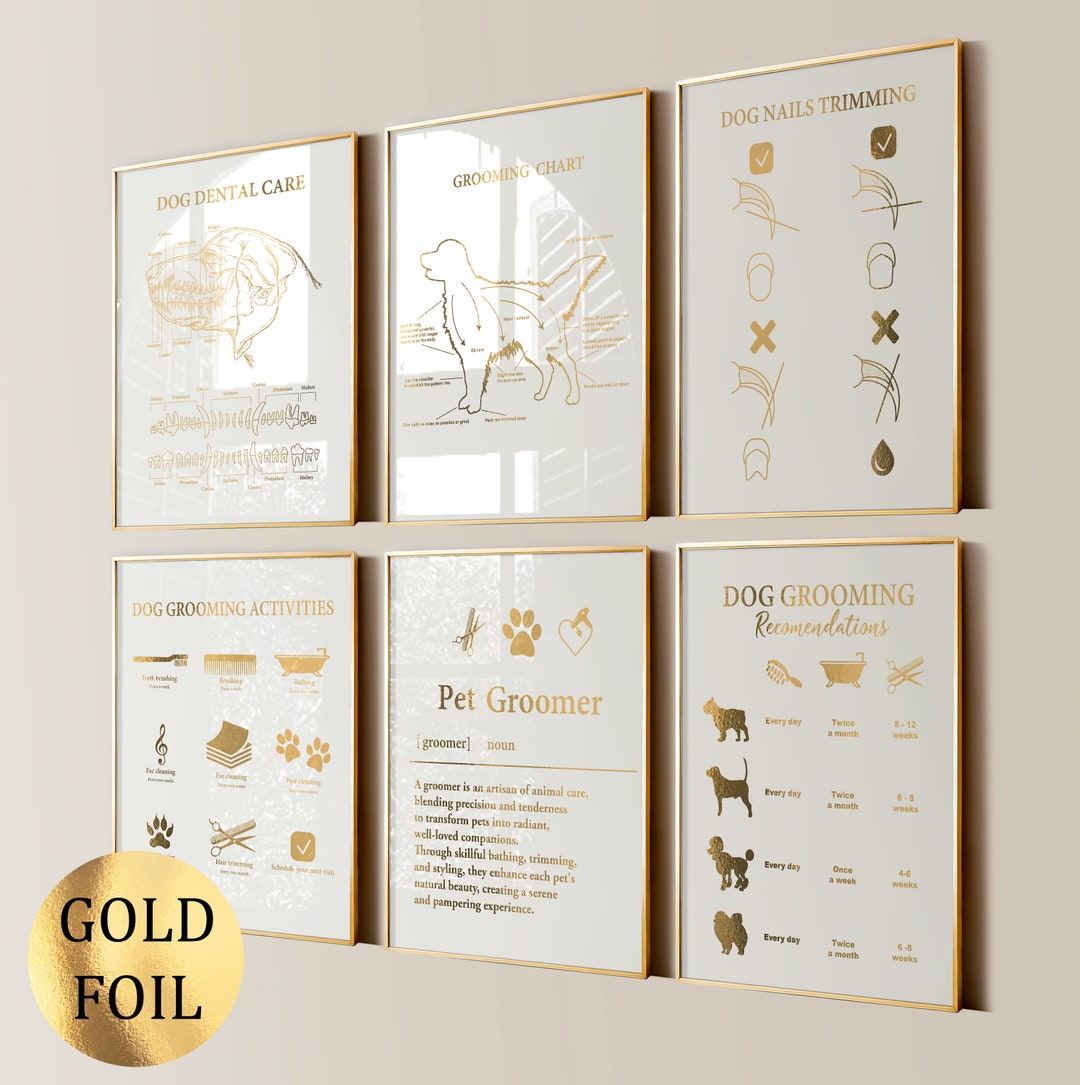 6 Dog Grooming Posters Groomer Gift Grooming Salon Decor Pet Dental ...