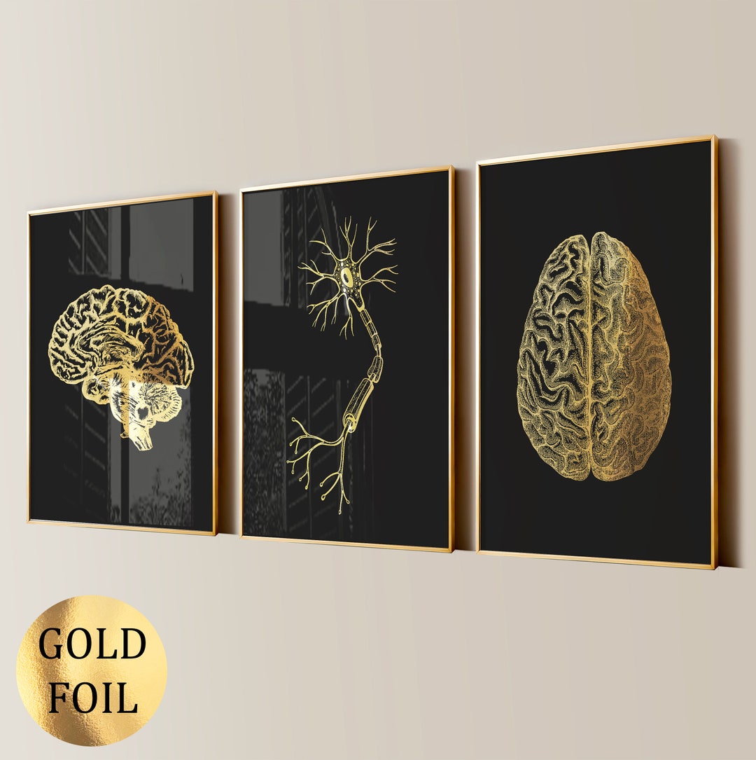 Set 3 Brain Anatomy Art Neuron Poster Neurology Art Medical Art ...