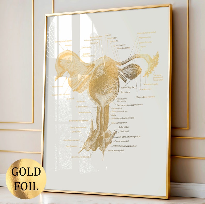 Gold Uterus Poster Female Anatomy Art Reproductive System Feminism Art