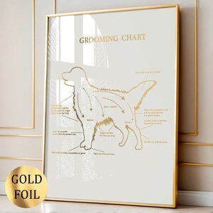 6 Dog Grooming Posters Groomer Gift Grooming Salon Decor Pet Dental ...