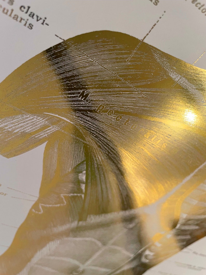 3 Gold Foot Anatomy Posters, Foot Bones Diagram, Gold Foil Print ...