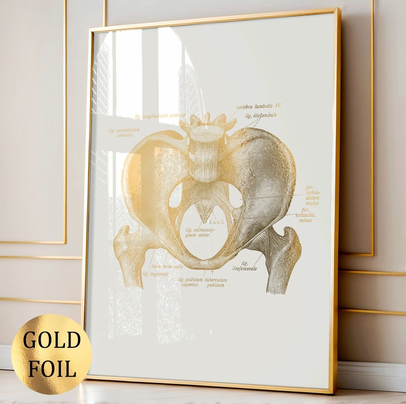 6 Skeleton Anatomy Posters Skeletal System Medical Art Skeleton Bones ...