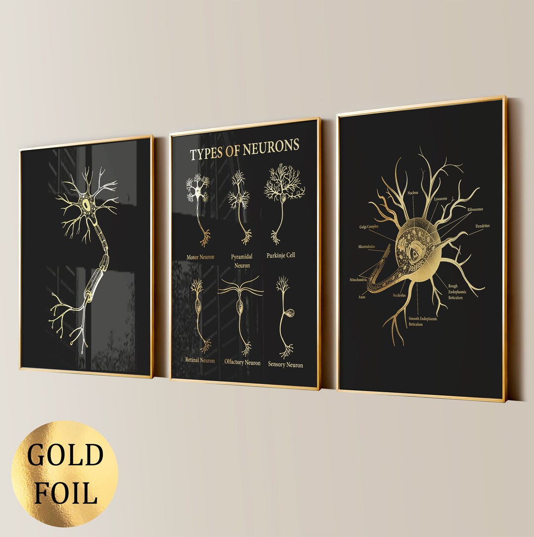3 Gold Neuron Art Anatomy Art Nerve Cell Art Brain Anatomy Neurology ...