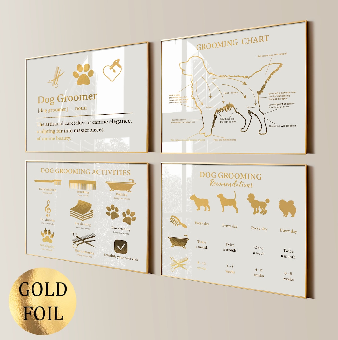 4 Dog Grooming Posters Groomer Gift Pet Grooming Salon Decor Pet Care ...