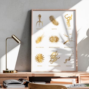 Gold Bacteria Art Microbiology Art Medical Art Science Art ...
