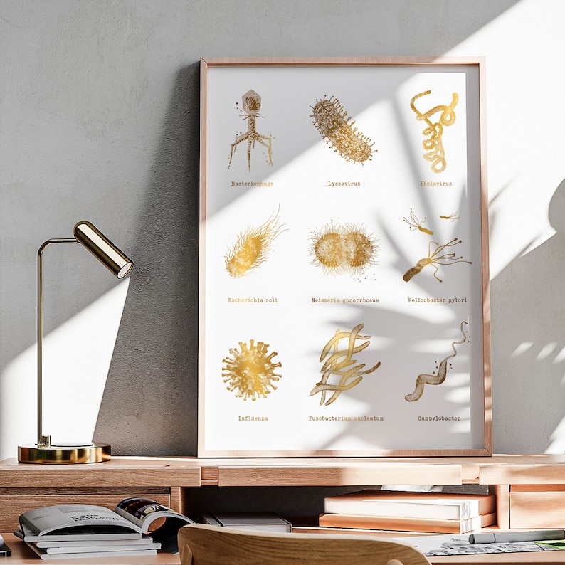Gold Bacteria Art Microbiology Art Medical Art Science Art ...