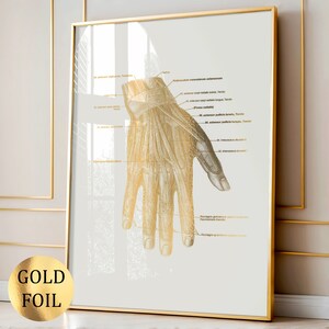 Set 4 Hand Anatomy Posters Palm Muscles Diagram Wrist Diagram Medical ...