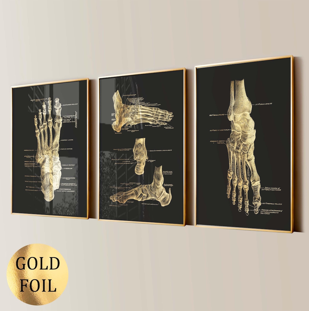 Set 3 Foot Anatomy Posters Orthopedic Gift Medical Art Orthopedist Gift ...