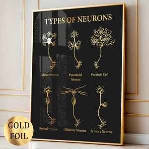 3 Gold Neuron Art Anatomy Art Nerve Cell Art Brain Anatomy Neurology ...
