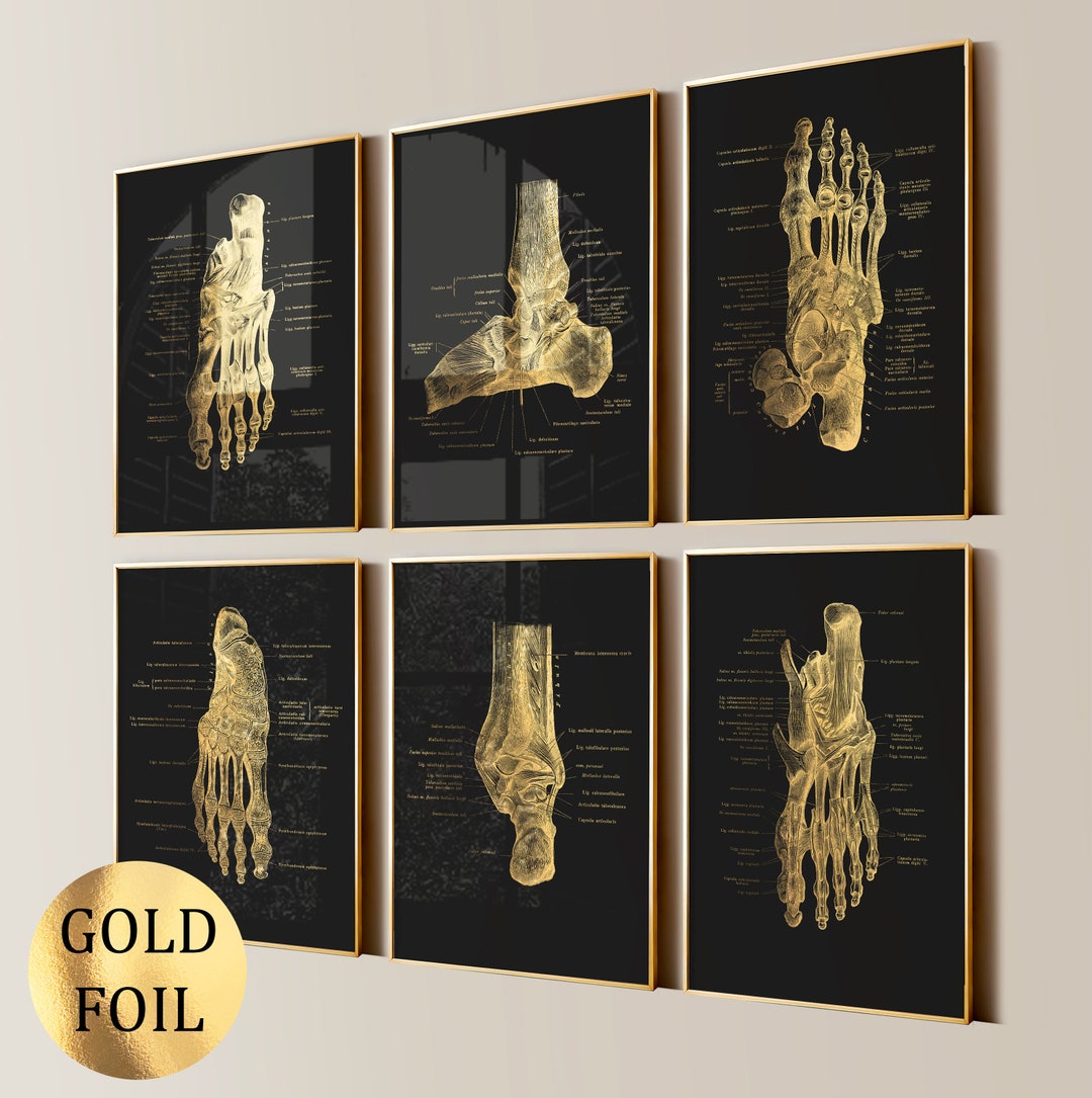Set 6 Gold Foot Anatomy Art Foot Bones Posters Medical Art Orthopedic ...