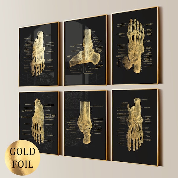 8 Dental Posters Dentistry Art Dentist Office Gift Dental Care Art ...