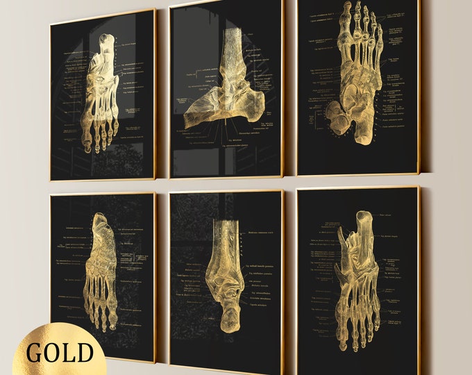 Anatomy of Human Foot Bones Display PDF Included 8x10 or 13x19 - Etsy ...