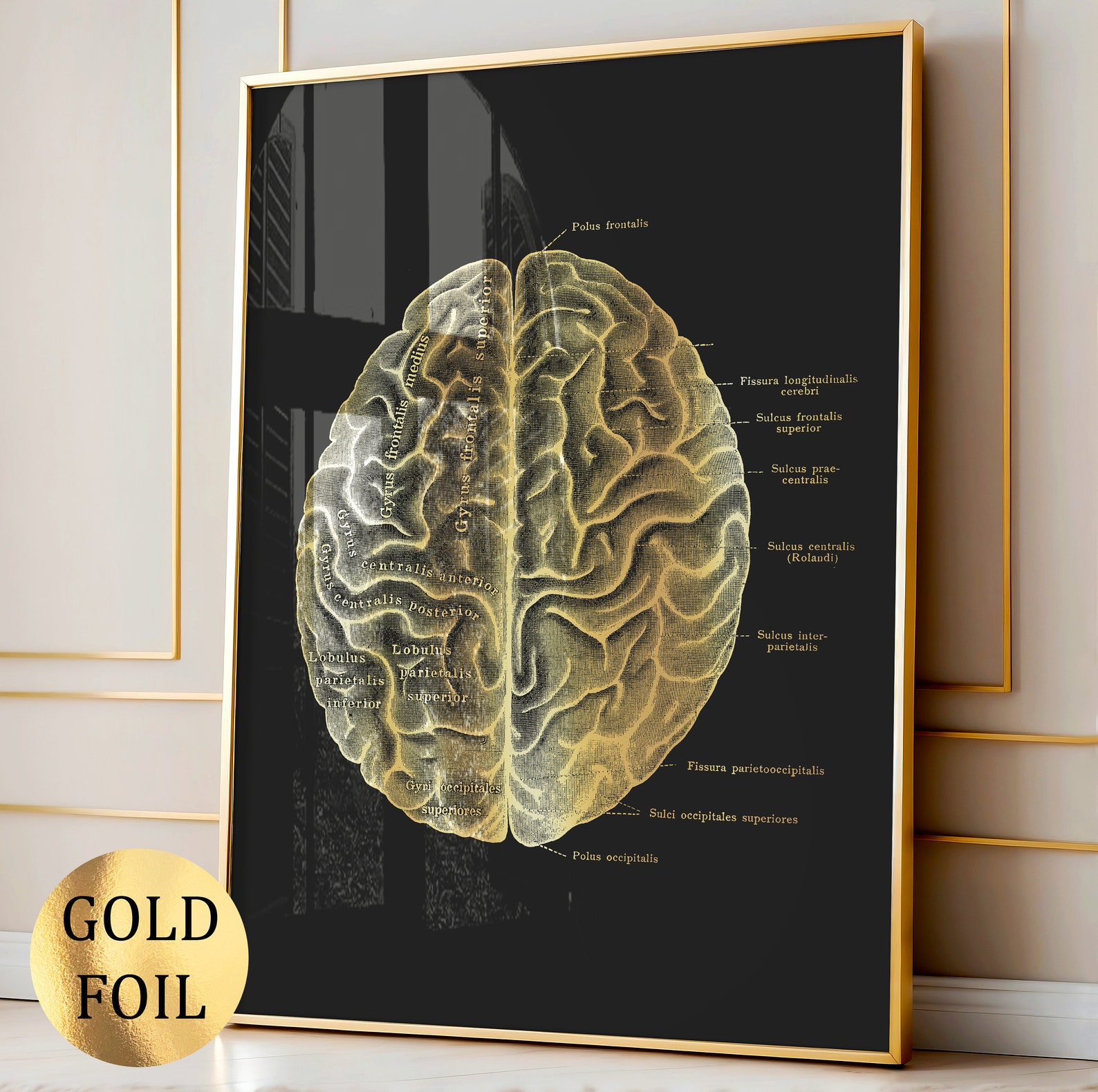 Set 6 Gold Brain Anatomy Art Neuroscience Art Neurology Art Medical Art ...