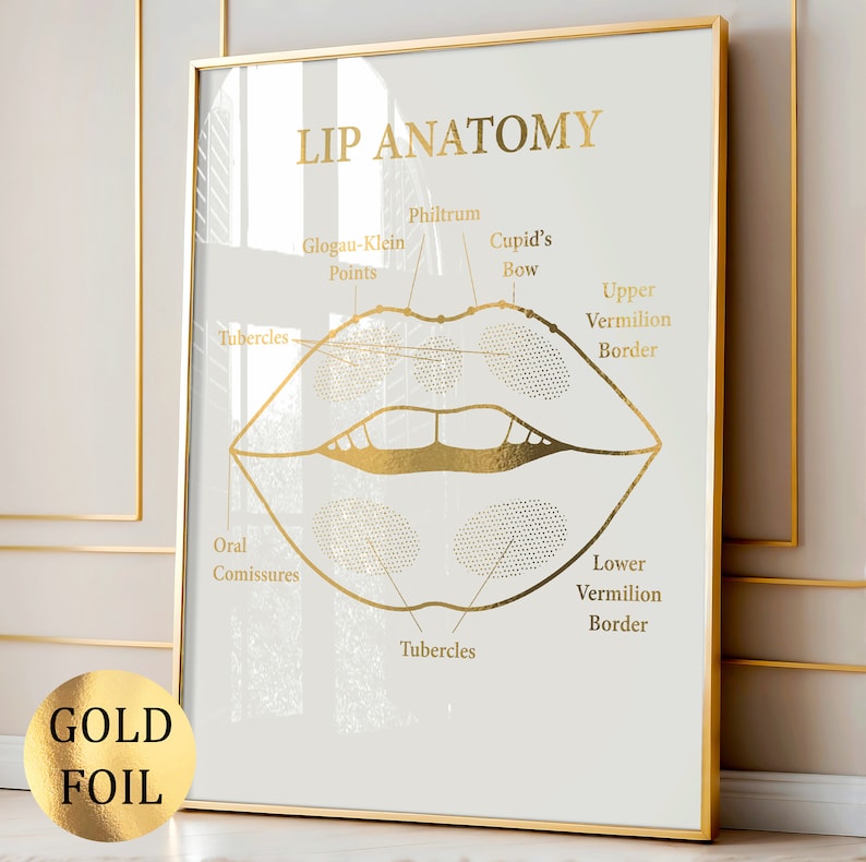 3 Lip Anatomy Art Lip Filler Injection Poster Plastic Surgeon Gift ...