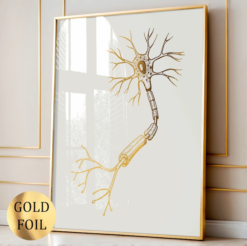 3 Gold Neuron Art Brain Anatomy Art Nerve Cell Art Neurology Art ...