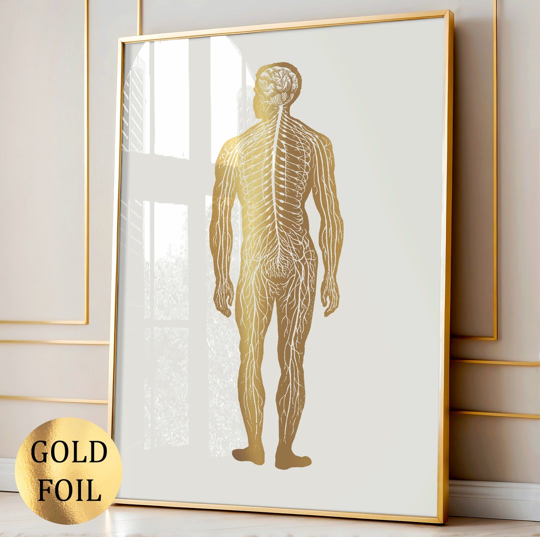 Gold Nervous System Anatomy Art Medical Art Physiology Art Neurologist ...