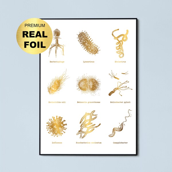 Microbiology Poster - Etsy