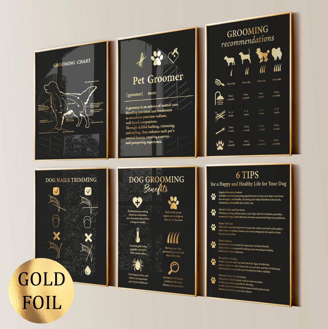 6 Pet Grooming Posters Dog Healthy Pet Care Groomer Guide Veterinary ...