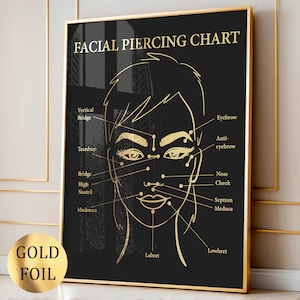 Set 6 Piercing Posters Ear Piercing Facial Piercing Micro Dermal ...