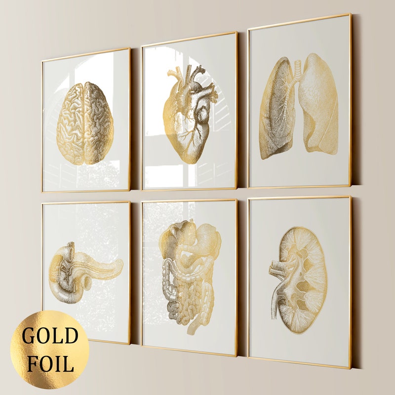Medical Art - Etsy