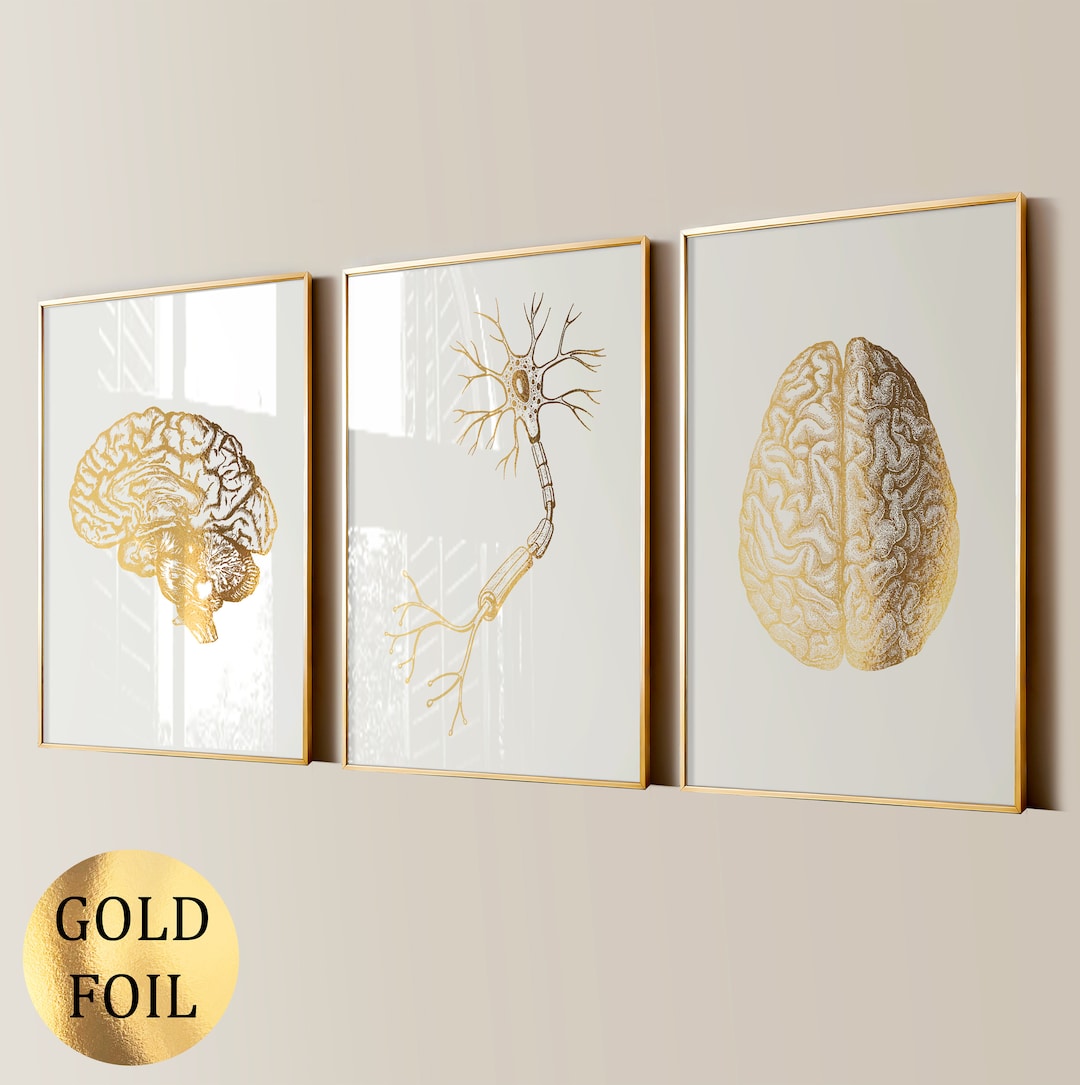 3 Gold Brain Anatomy Art Neuron Art Neurology Art Medical Art ...