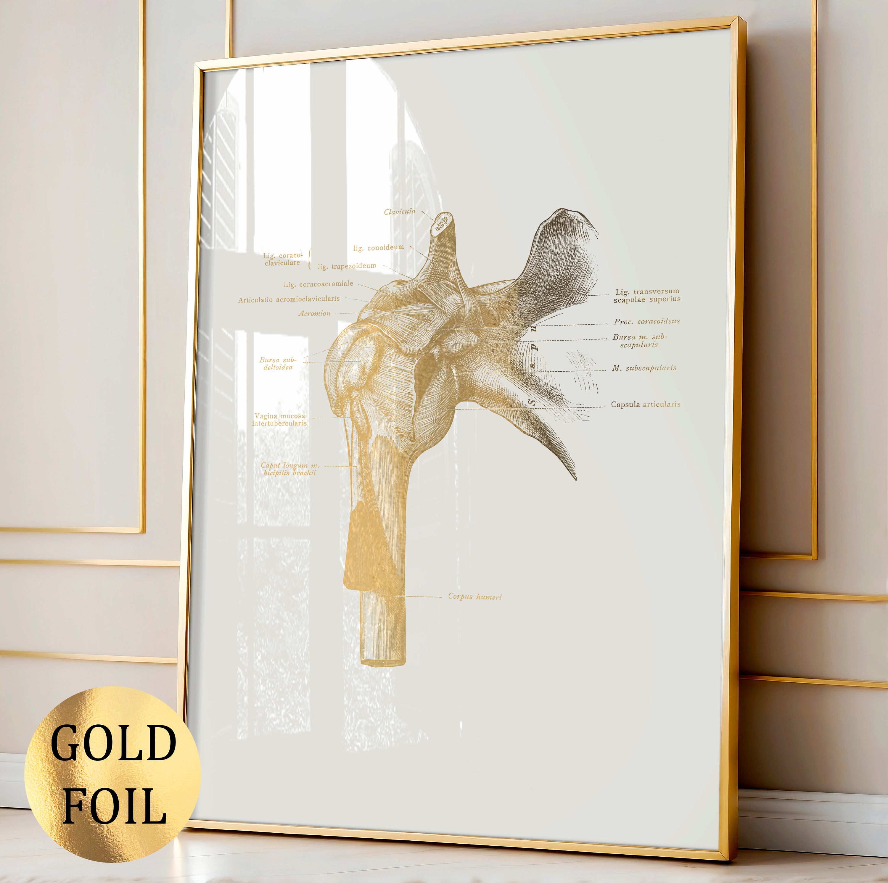 4 Hand Anatomy Posters, Elbow Joint, Shoulder Joint, Medical Art ...