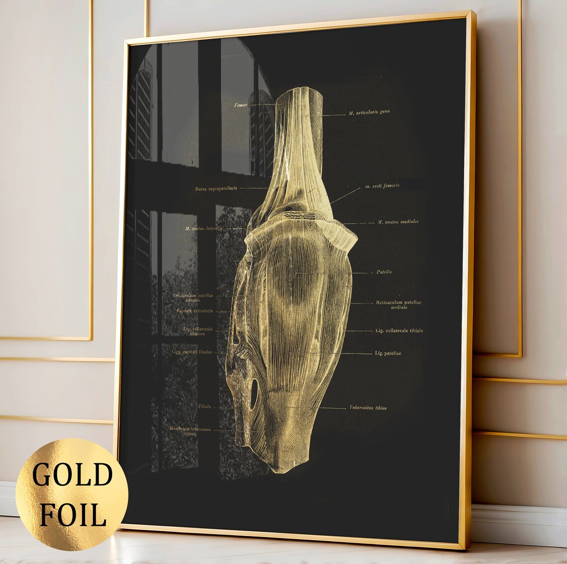 6 Knee Anatomy Art Orthopedic Art Knee Joint Posters Physiotherapy Art ...