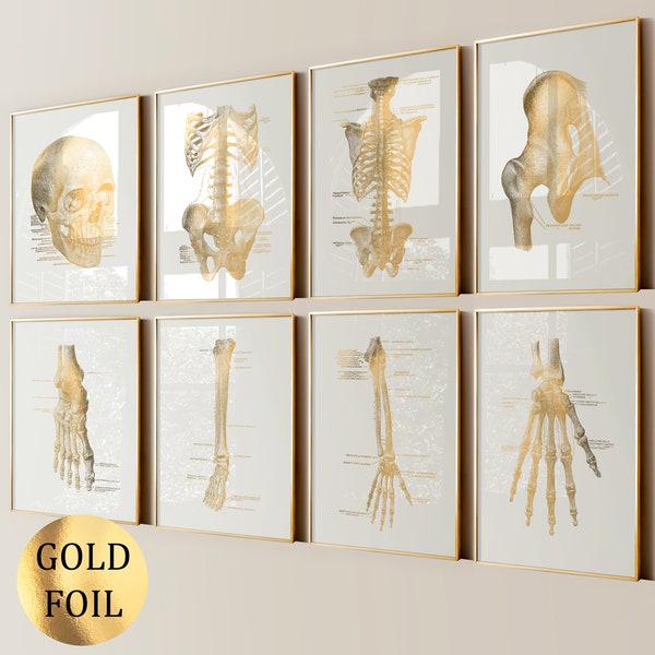 Orthopedic Poster - Etsy UK