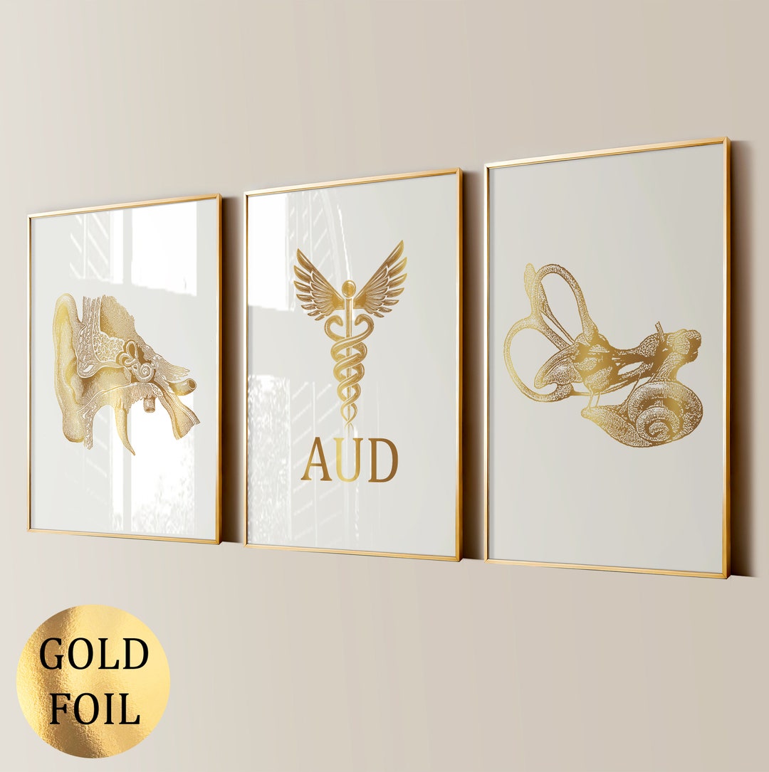 3 Ear Anatomy Art, Audiology Art, Medical Art, Hearing System, Gold ...