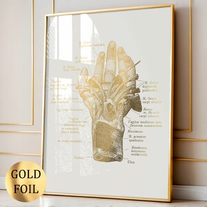 Set 6 Hand Anatomy Art Orthopedic Poster Medical Art Hand Diagram Wrist ...