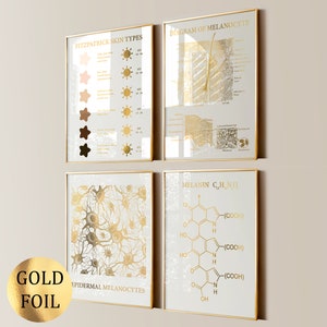 4 Fitzpatrick Skin Types Posters Fitzpatrick Scale Epidermal ...