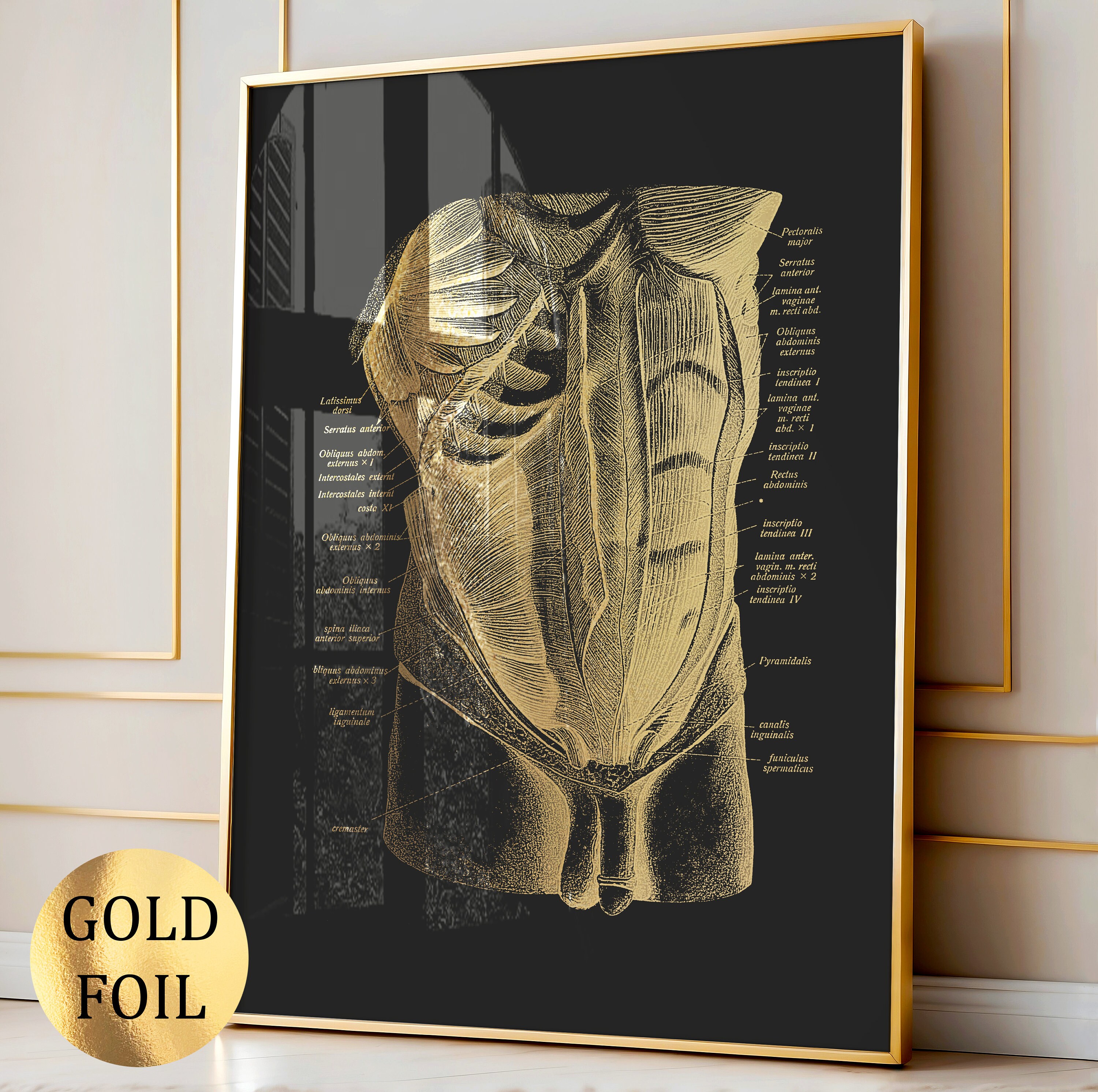 Set 6 Gold Anatomy Art Muscular System Posters Massage Clinic Wall ...