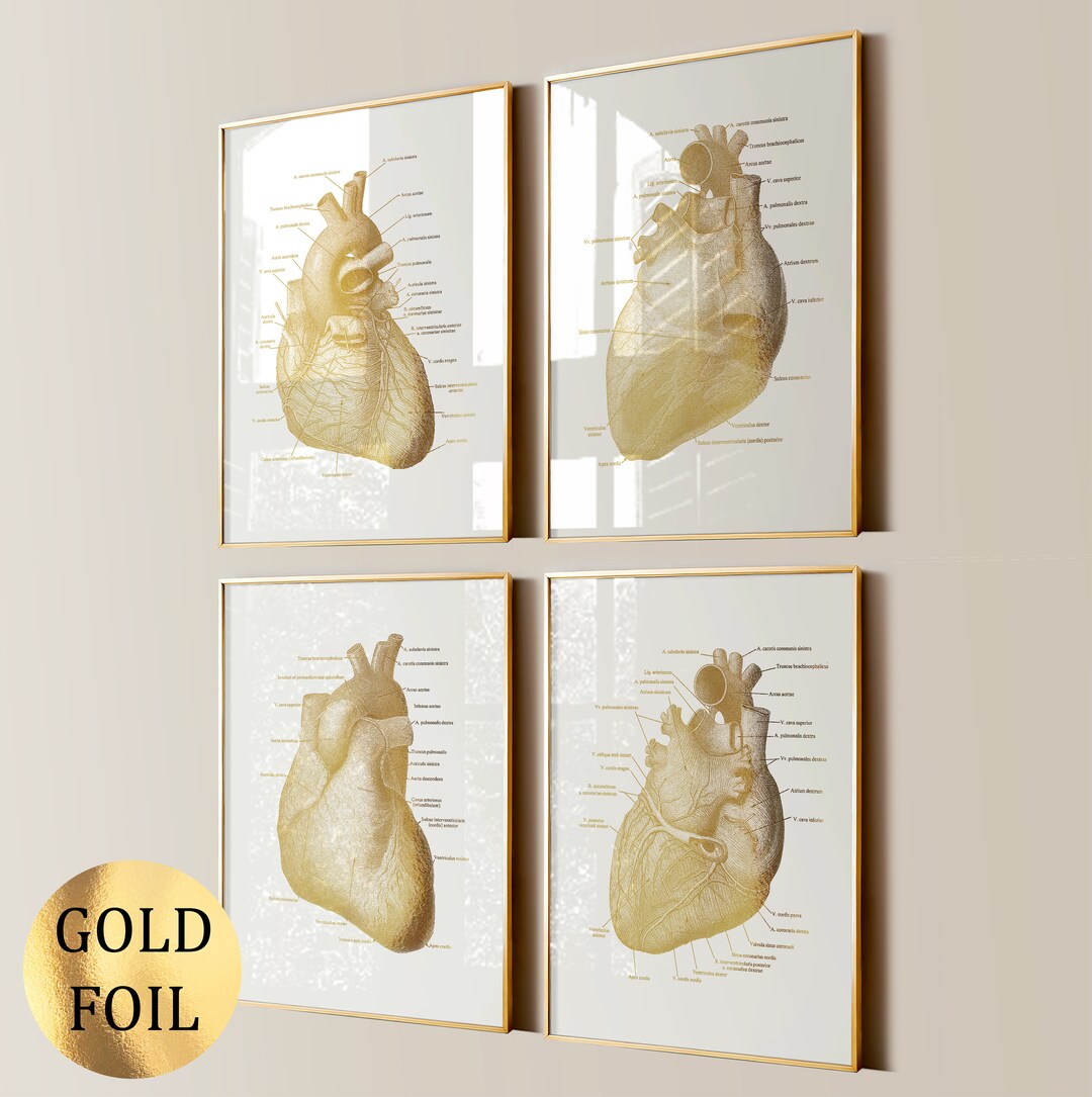Set 4 Heart Anatomy Art, Cardiology Posters, Gold Foil Print, Medical ...
